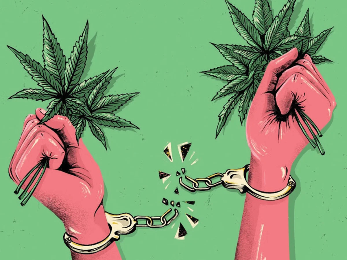 What You Need to Know About Marijuana Legalization